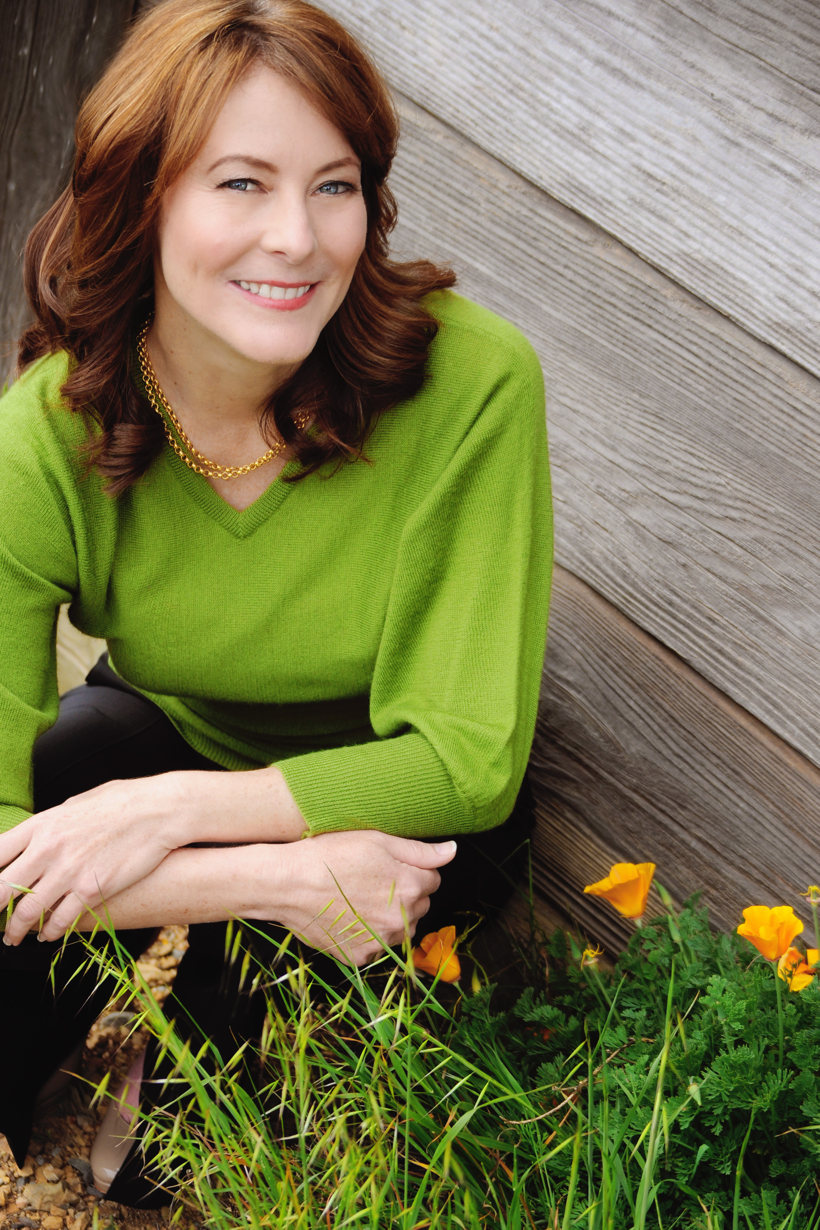 California Family Lawyer, Mediator, Divorce and Prenup Coach